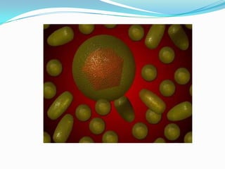 Τέτανος-Ηπατίτιδα-g4 | PPTX