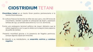 TETANOS NEONATAL.pptx