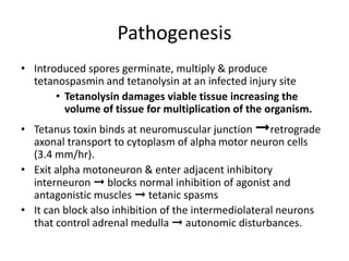 Tetanus-1.pptx | Brain and Nervous System Disorders | Diseases and ...