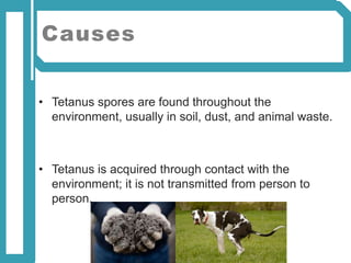 Tetanus | PPTX