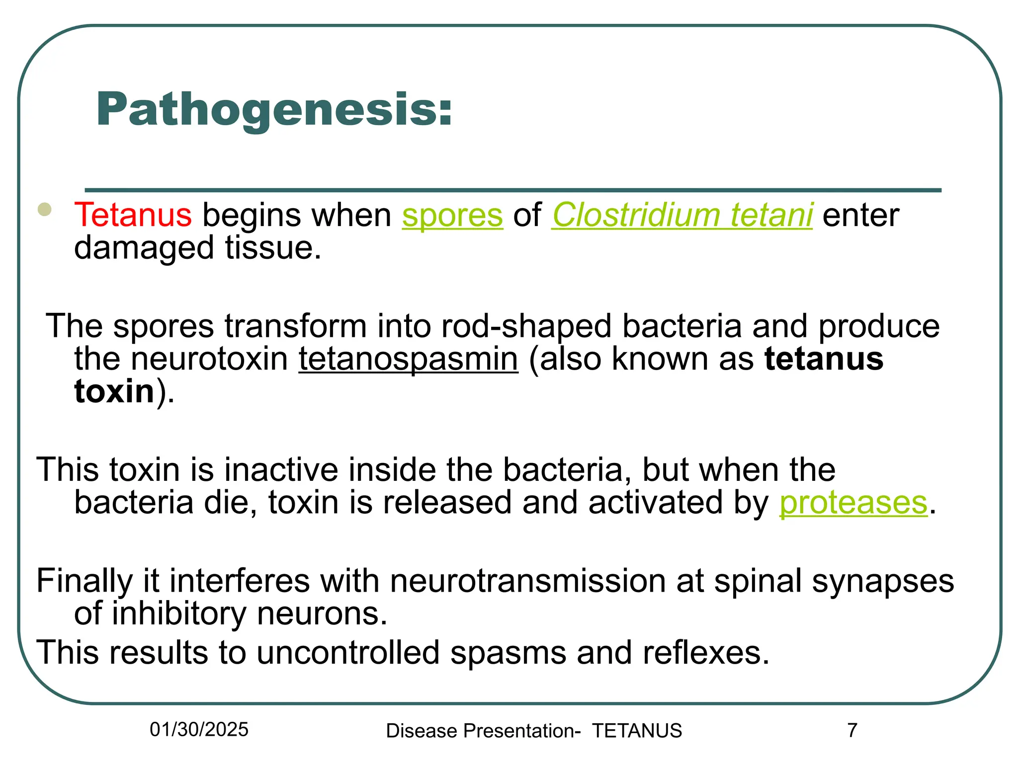 tetanus clinical features investigation treatment | PPTX