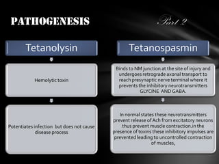 Tetanus paediatics | PPTX