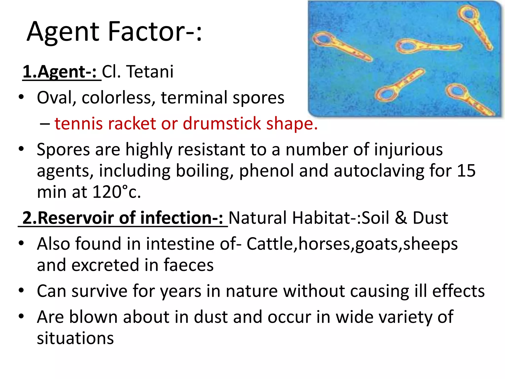 Tetanus | PPTX