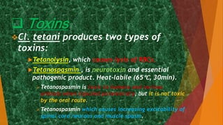 Tetanus | PPTX