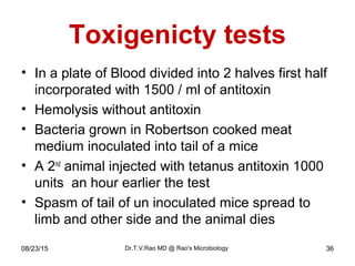 Tetanus Teaching basics | PPT