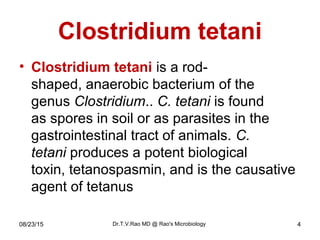 Tetanus Teaching basics | PPT