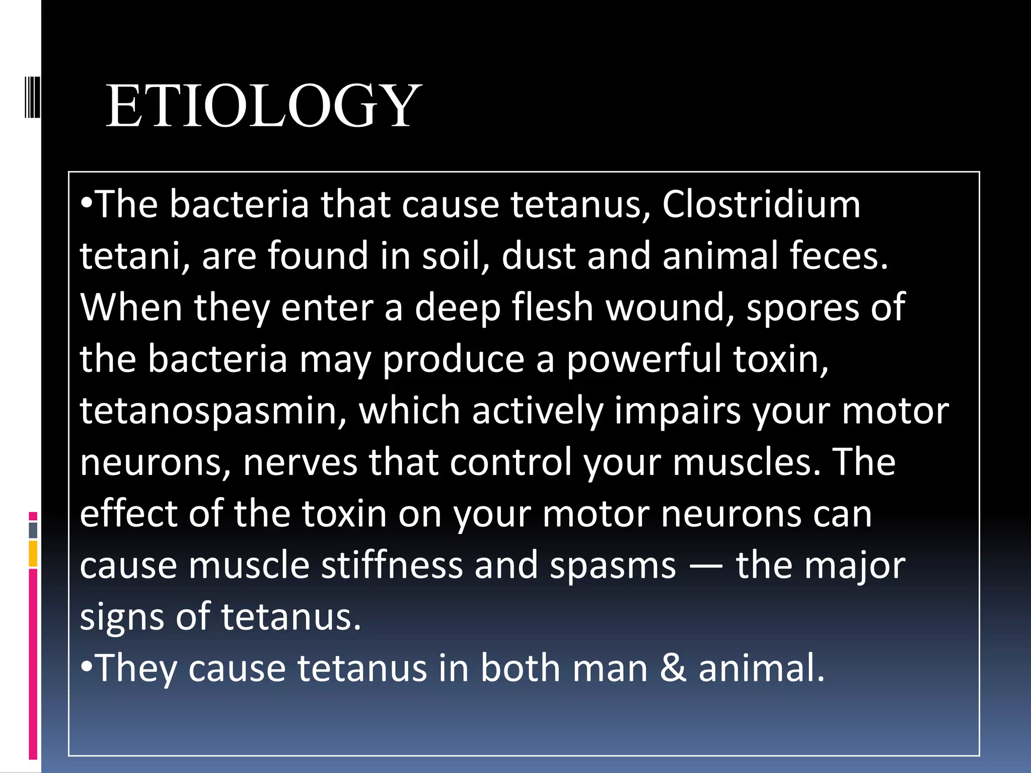 Tetanus | PPTX
