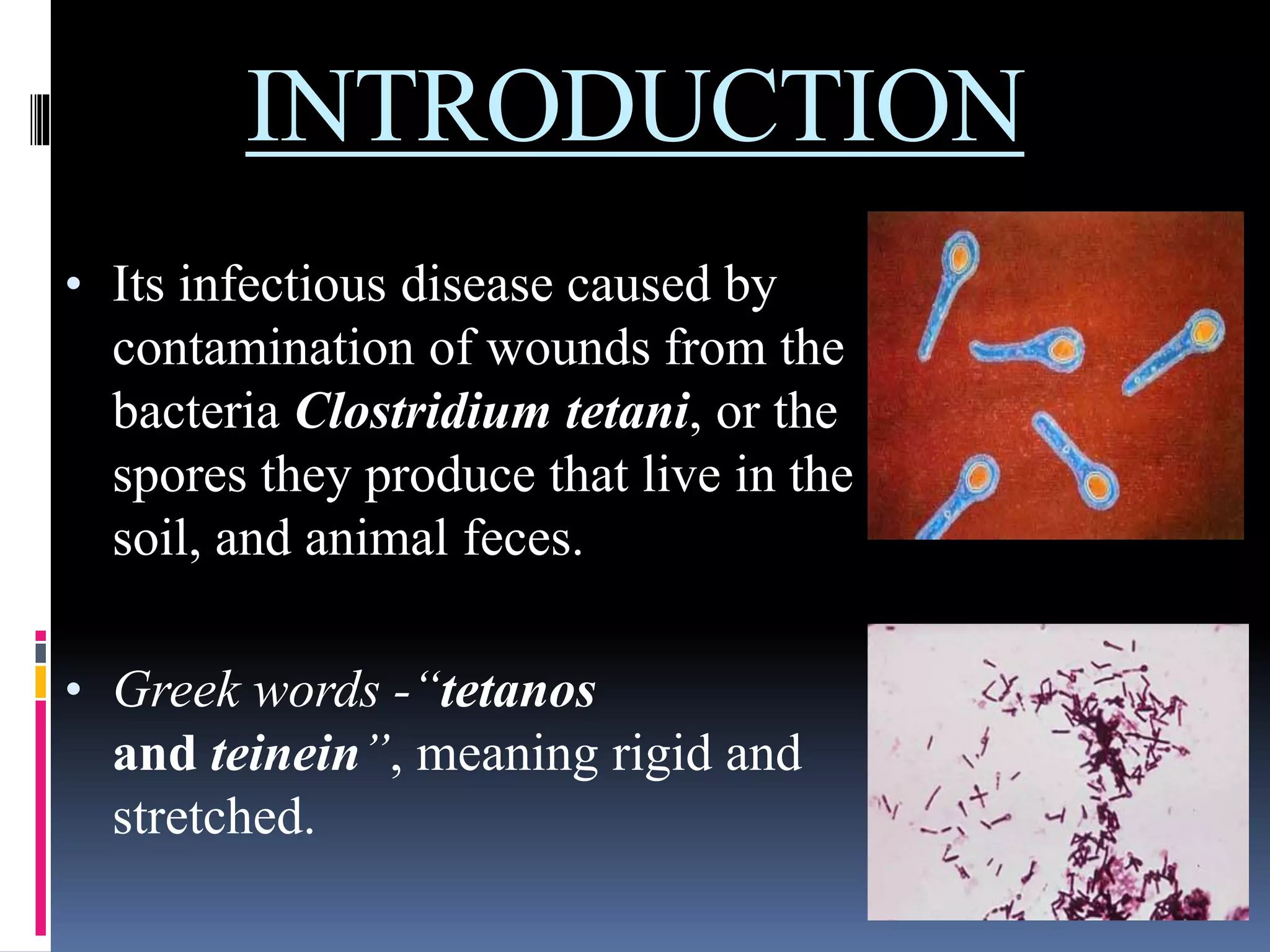 Tetanus | PPTX