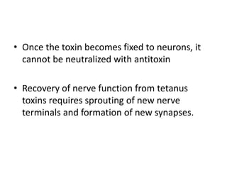 Tetanus: Case Presentation | PPTX