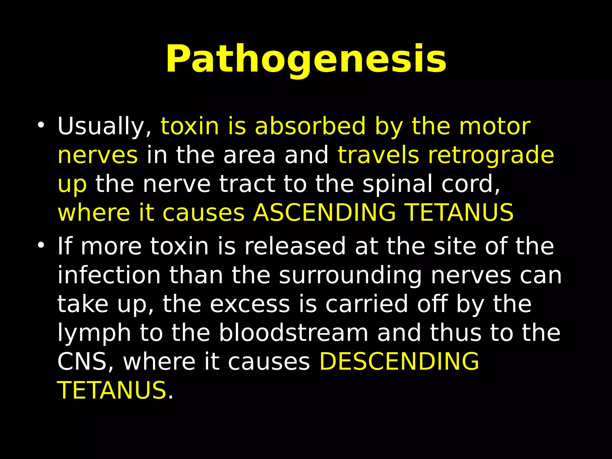Tetanus | PDF