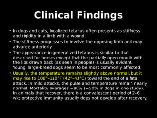 Tetanus | PDF