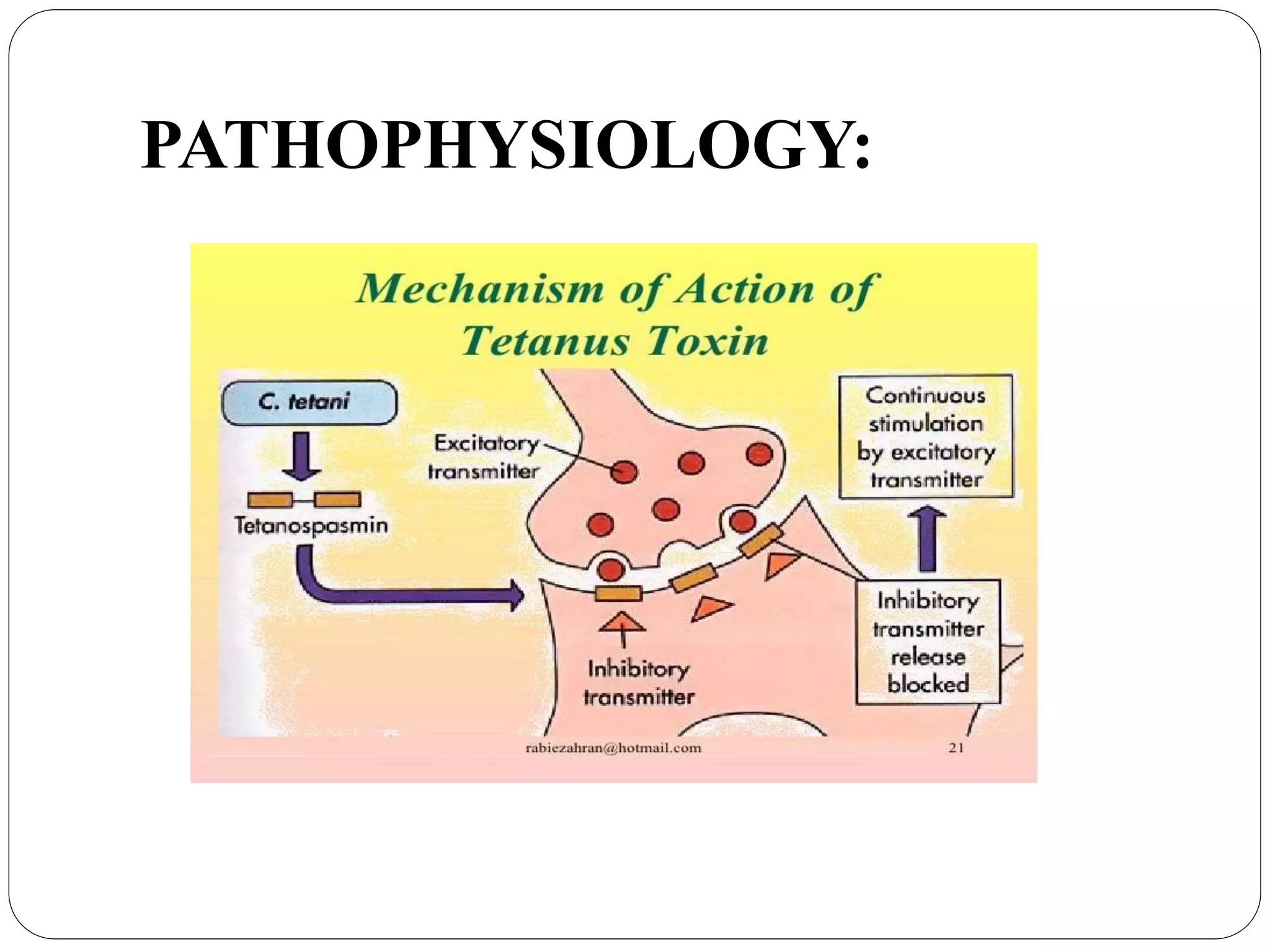 Tetanus | PPTX | Ear, Nose and Throat Conditions | Diseases and Conditions