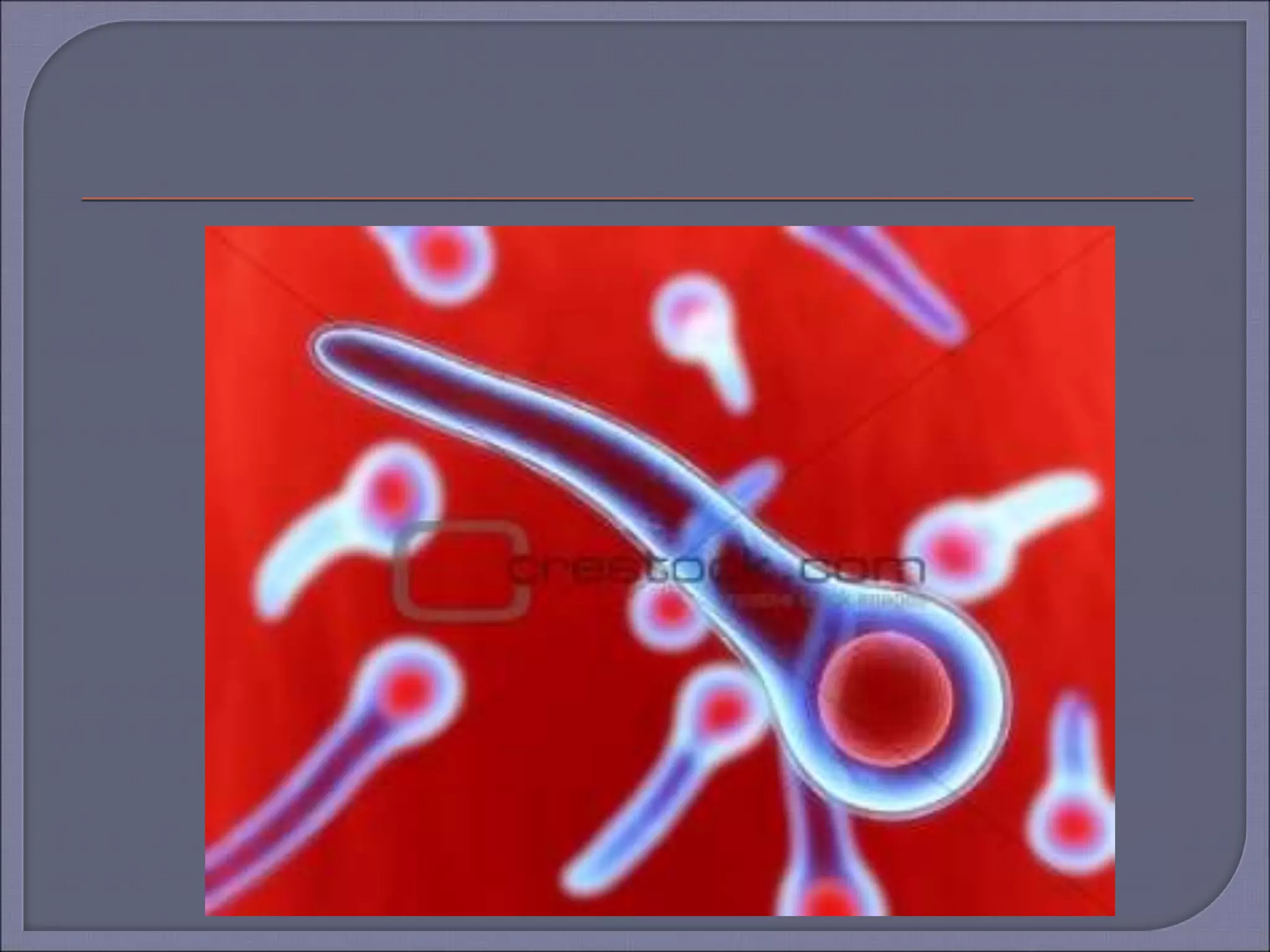 Tetanus | PPT