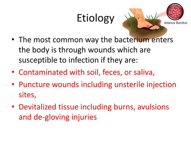 Tetanus | PDF | Brain and Nervous System Disorders | Diseases and ...
