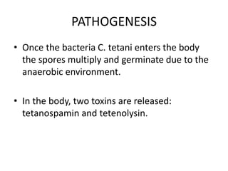 Tetanus | PDF