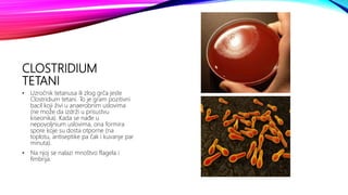 Tetanus - infektologija | PPTX