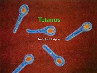 TETANUS.pdf