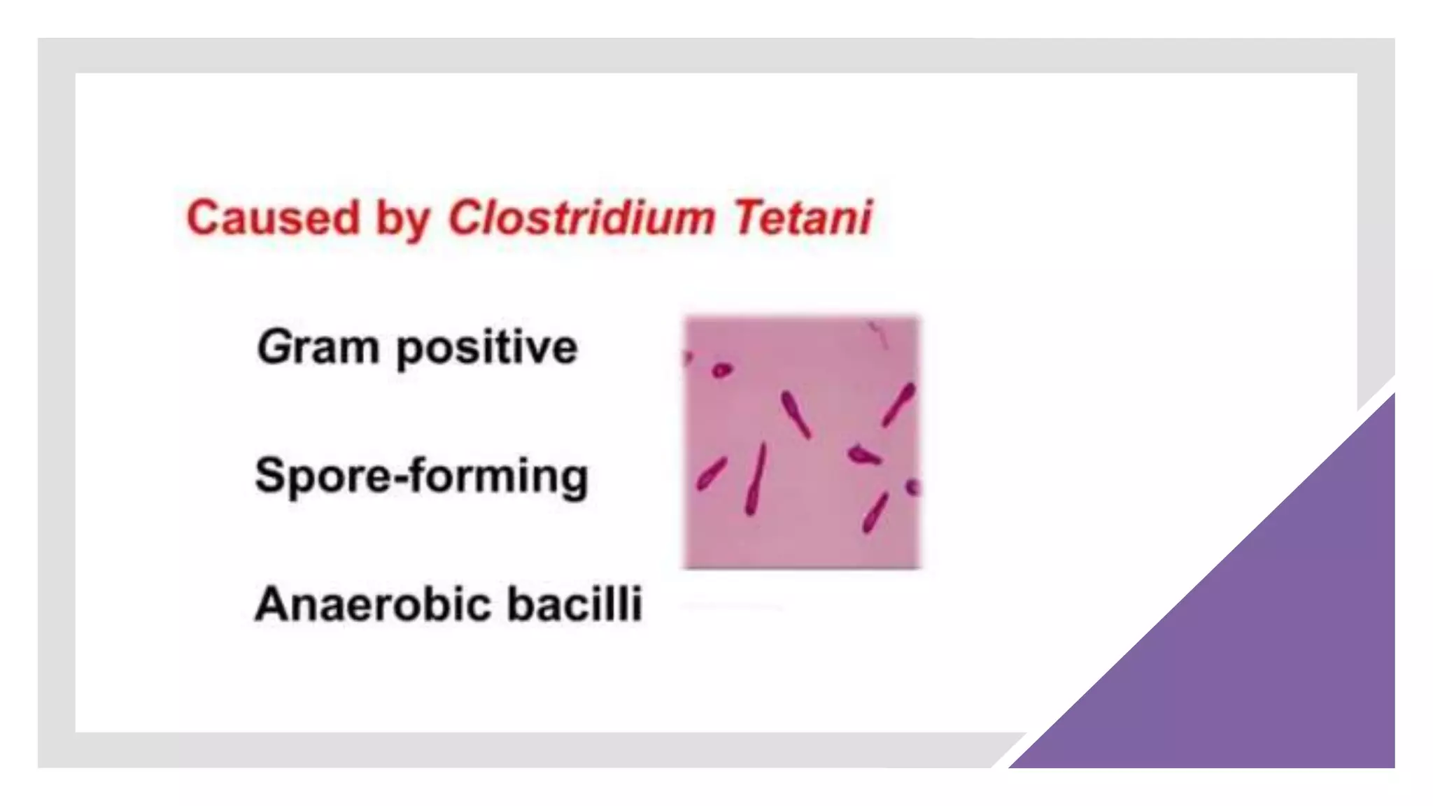 Tetanus.pptx