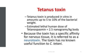 Tetanus.pptx
