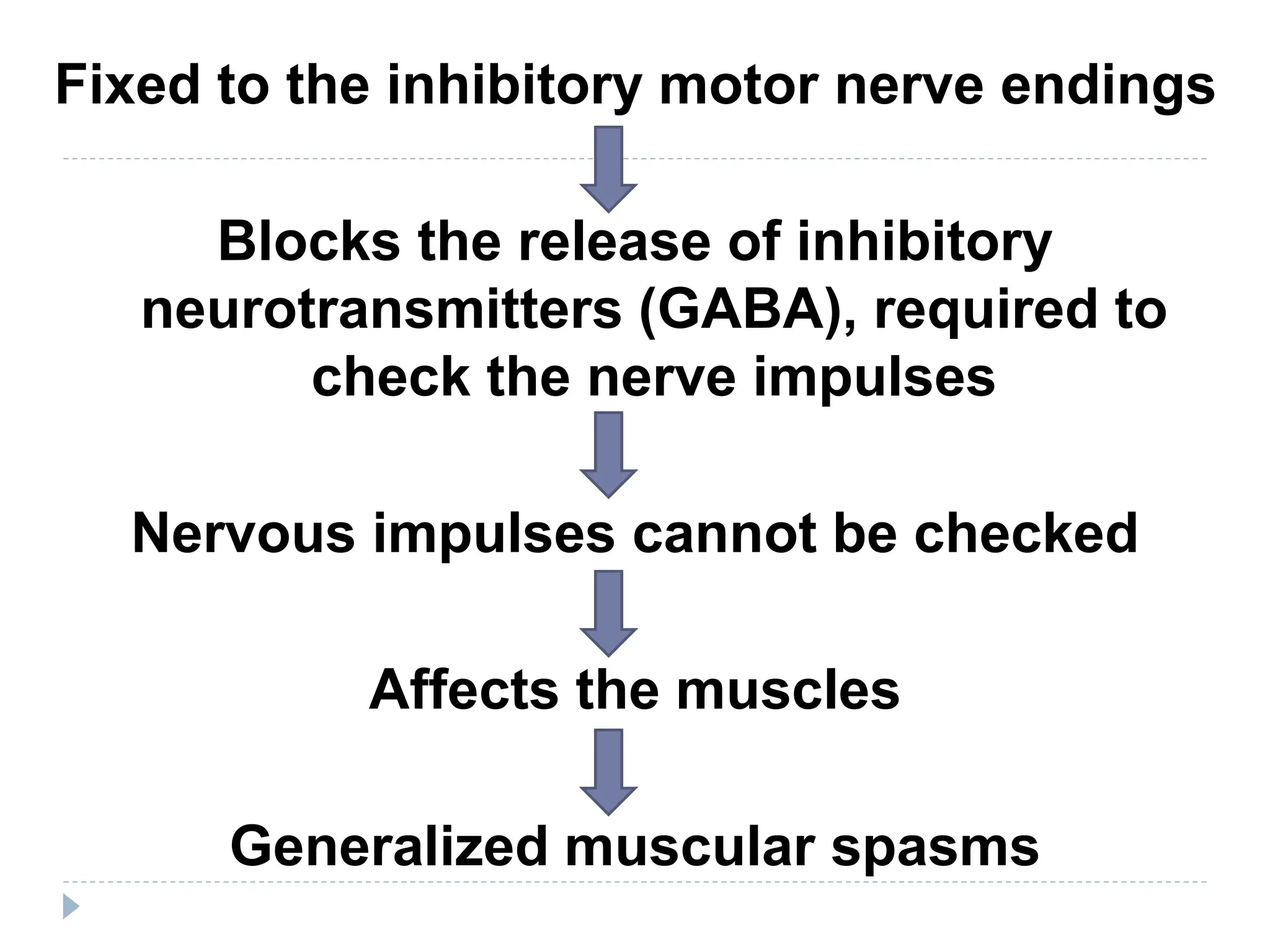 Tetanus Adult health nursing 3rd Semester | PPTX