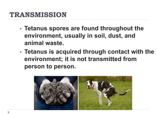Tetanus Adult health nursing 3rd Semester | PPTX