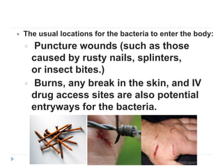 Tetanus Adult health nursing 3rd Semester | PPTX