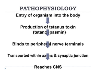 Tetanus Adult health nursing 3rd Semester | PPTX