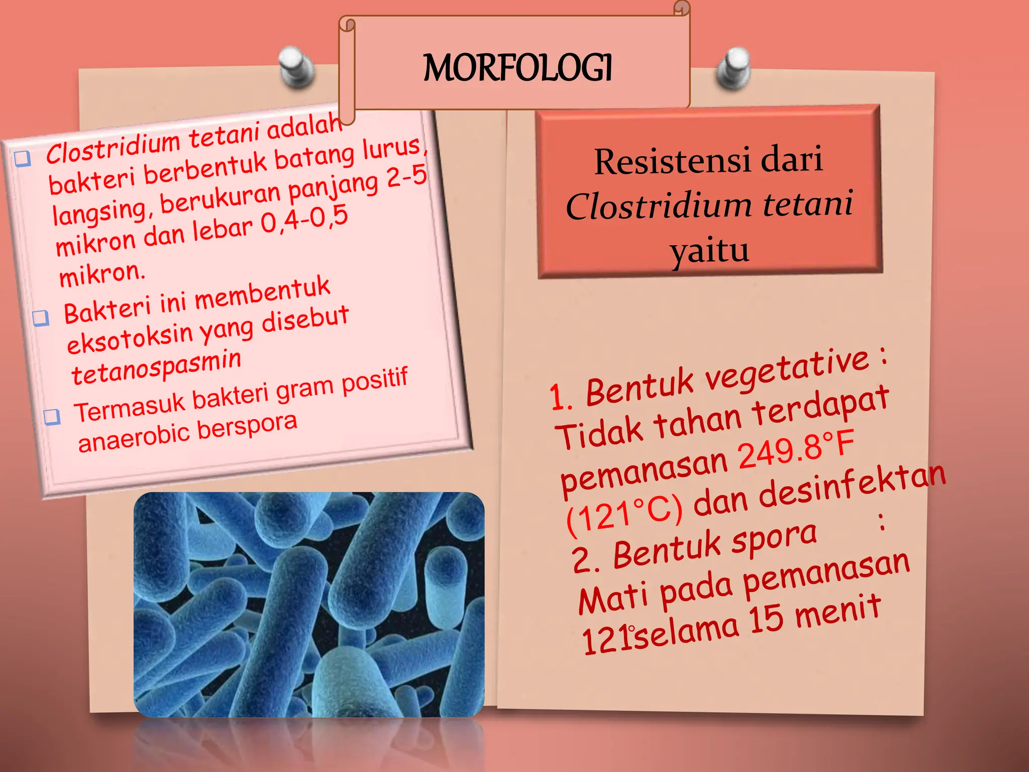 persentasi kesehatan materi mengenai tetanus.pptx