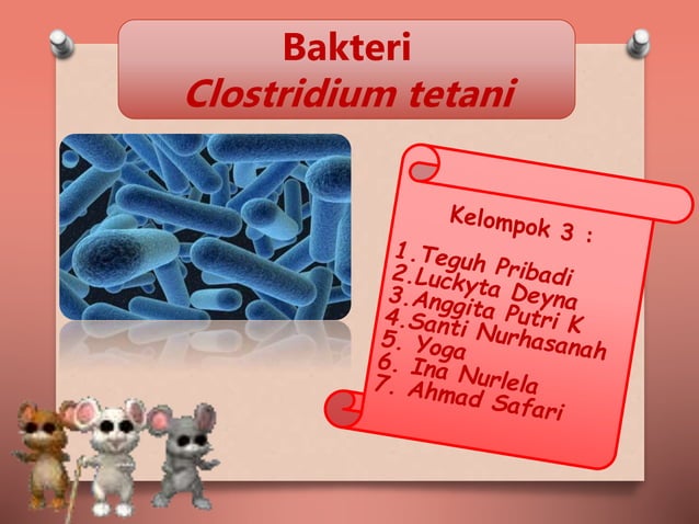 persentasi kesehatan materi mengenai tetanus.pptx