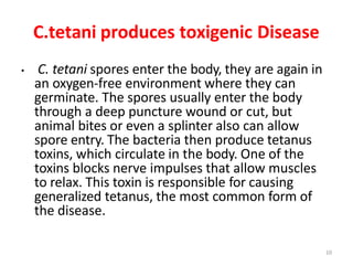 tetanus.pptx, introduction, pathophysiology | PPTX | Infectious ...