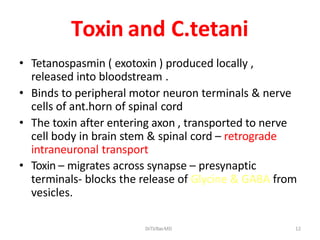 tetanus.pptx, introduction, pathophysiology | PPTX | Infectious ...