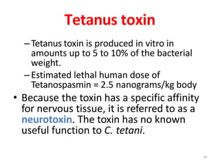 tetanus.pptx, introduction, pathophysiology | PPT