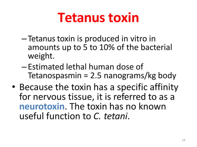 tetanus.pptx, introduction, pathophysiology | PPTX | Infectious Diseases | Diseases and Conditions