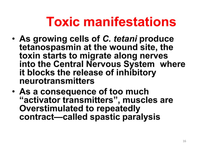 tetanus.pptx, introduction, pathophysiology | PPTX | Infectious ...