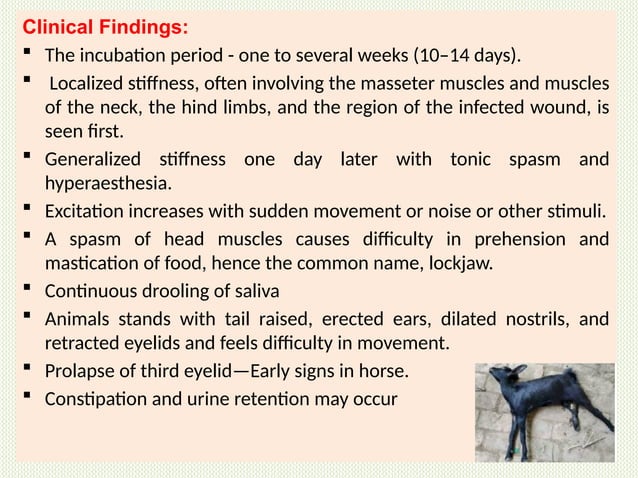 TETANUS how it cause etiology clinical signs | PPTX
