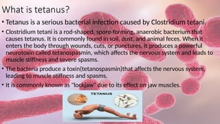 Bacterial infections- Tetanus 11th grade presentation | PPT