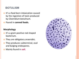 Tetanus and botulism PG | PPTX