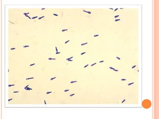 Tetanus and botulism PG | PPTX