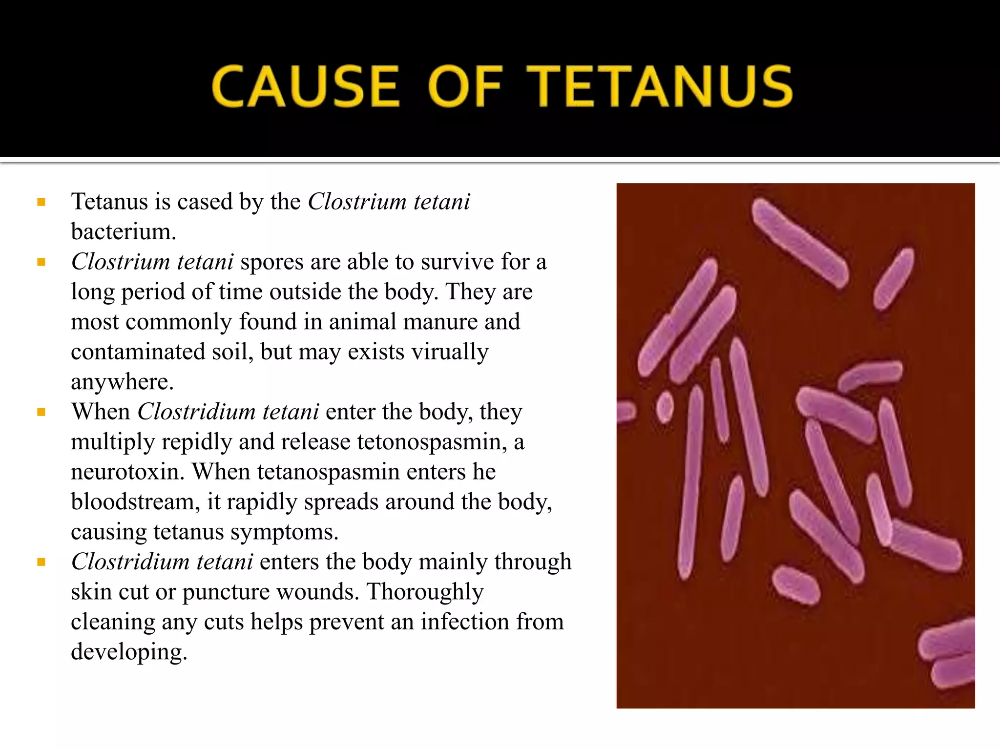 Tetanus antitoxin (apa) | PPTX