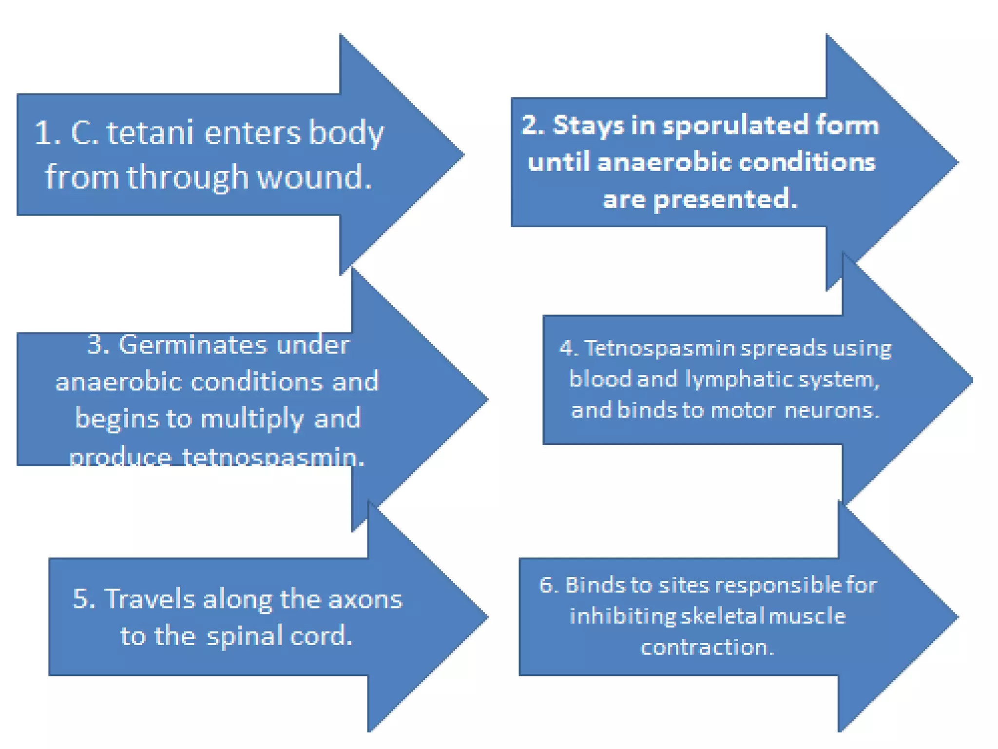 Tetanus bacterial disease | PPTX
