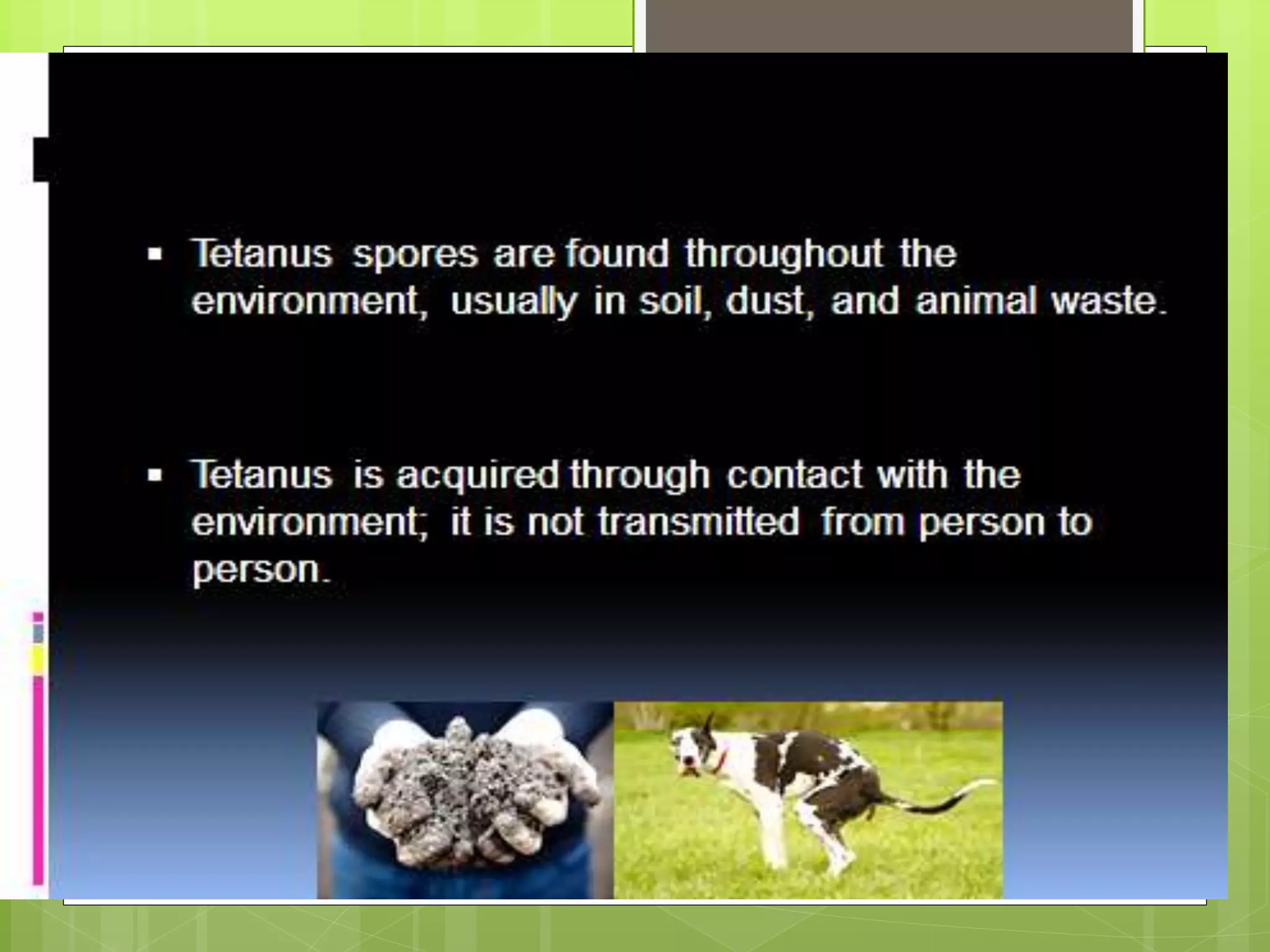 Tetanus bacterial disease | PPTX