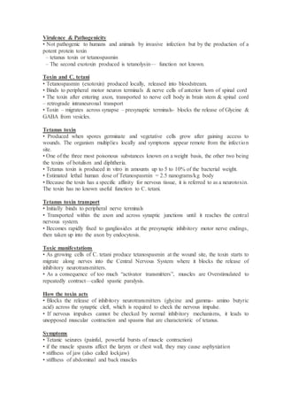 Tetanus | DOCX