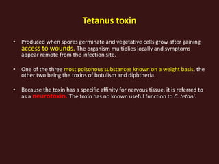 Tetanus -Basics | PPTX