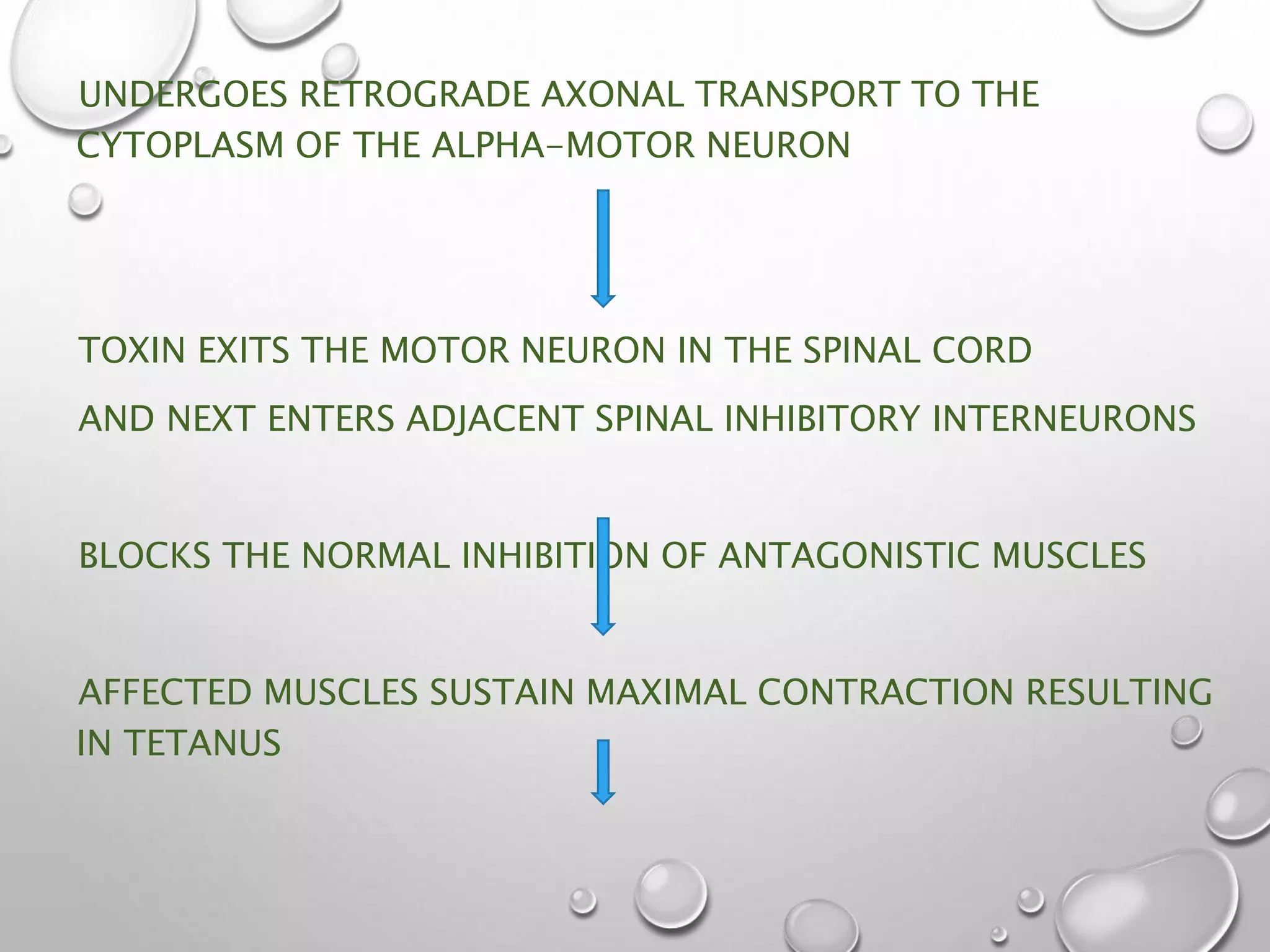 Tetanus dr yusuf imran | PPTX