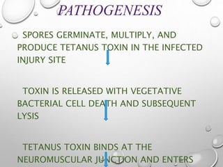 Tetanus dr yusuf imran | PPT