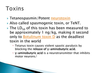 Tetanus | PPTX