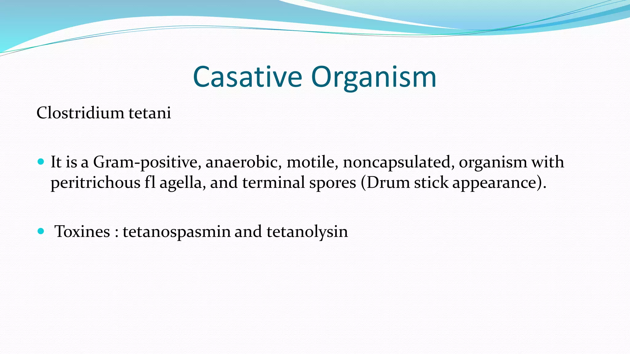 Tetanus & Gas Gangrene | PPTX