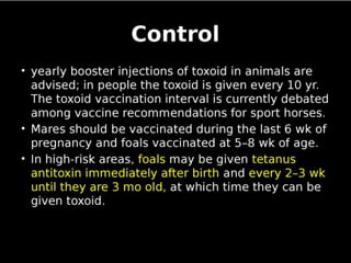 tetanus in animals.pptx | Veterinary Medicine | Pets