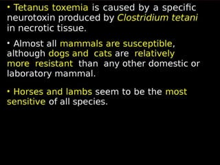 tetanus in animals.pptx