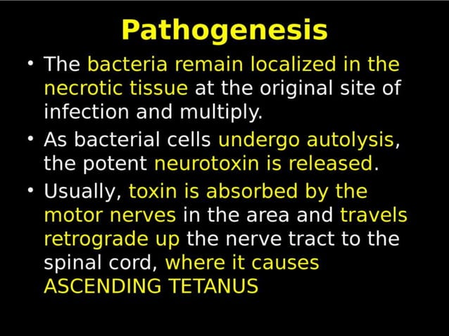 tetanus in animals.pptx